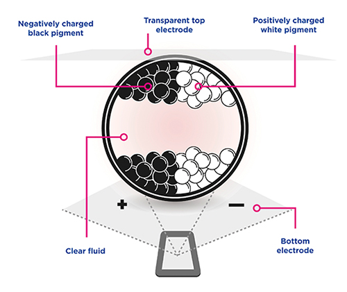 Choosing the Right Display for IoT Devices | DigiKey