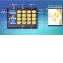 16-Channel, 16-, 12-Bit DACs - Analog Devices | Digi-Key